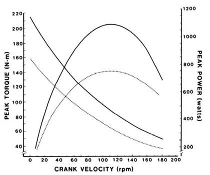 Cadence Economy and Effects of Different RPM’s | The Athlete Clinic